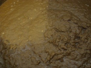 Making Paper out of Cow Manure | Just another Day on the Farm