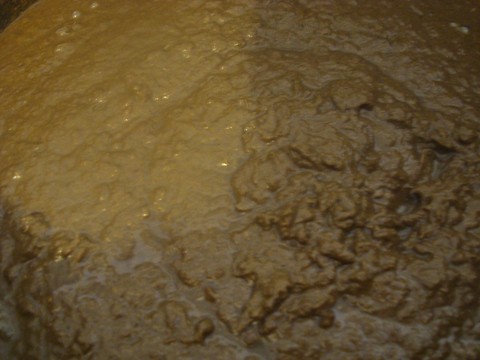 Making Paper out of Cow Manure | Just another Day on the Farm