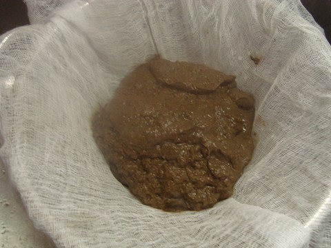 Making Paper out of Cow Manure | Just another Day on the Farm