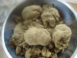 Making Paper out of Cow Manure | Just another Day on the Farm