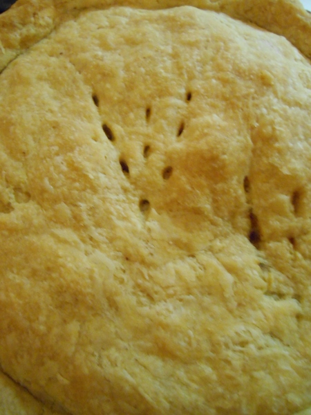 Goose Pot Pie Recipe | Just another Day on the Farm