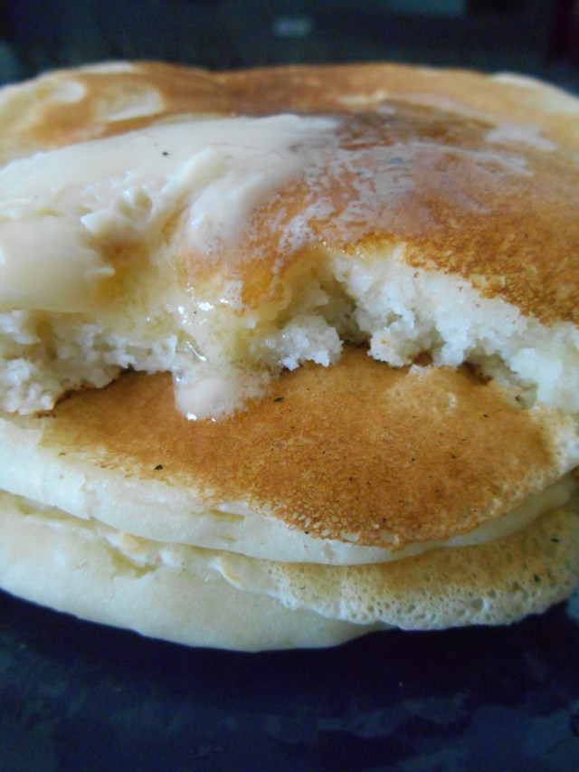 Hazelbert Nut Bush | Just another Day on the Farm