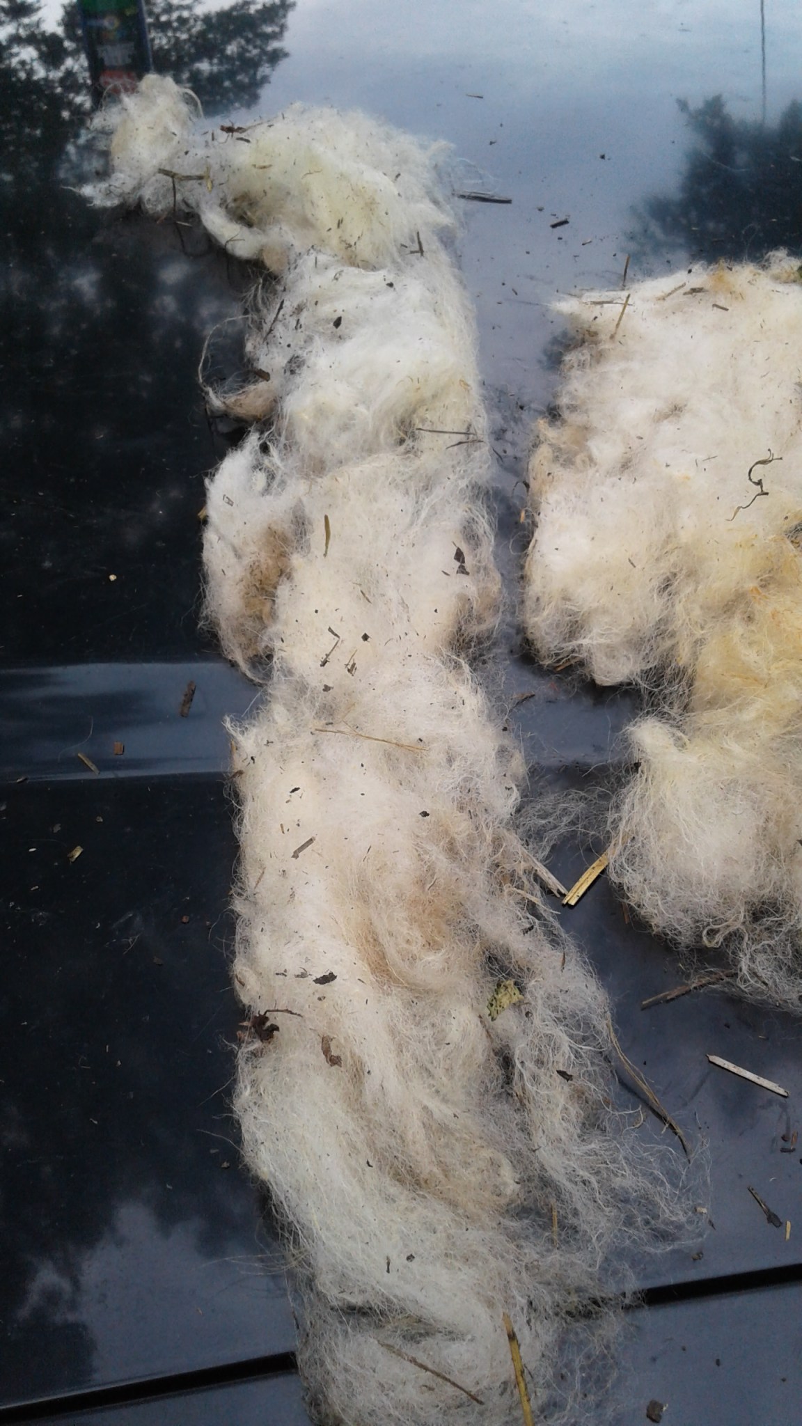 Making homemade wool tags for the garden | Just another Day on the Farm