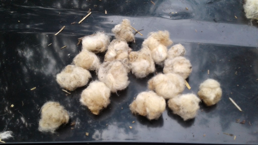 Making homemade wool tags for the garden | Just another Day on the Farm