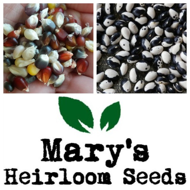 plant a seed | Just another Day on the Farm