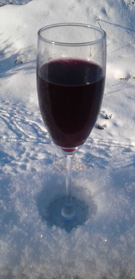 How to make Blueberry Scrub Drink | Just another Day on the Farm