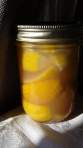 How to make Salt Cured Lemons | Just another Day on the Farm