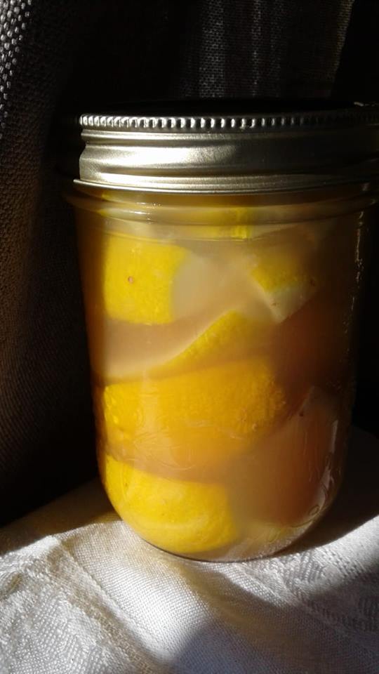 How to make Salt Cured Lemons | Just another Day on the Farm