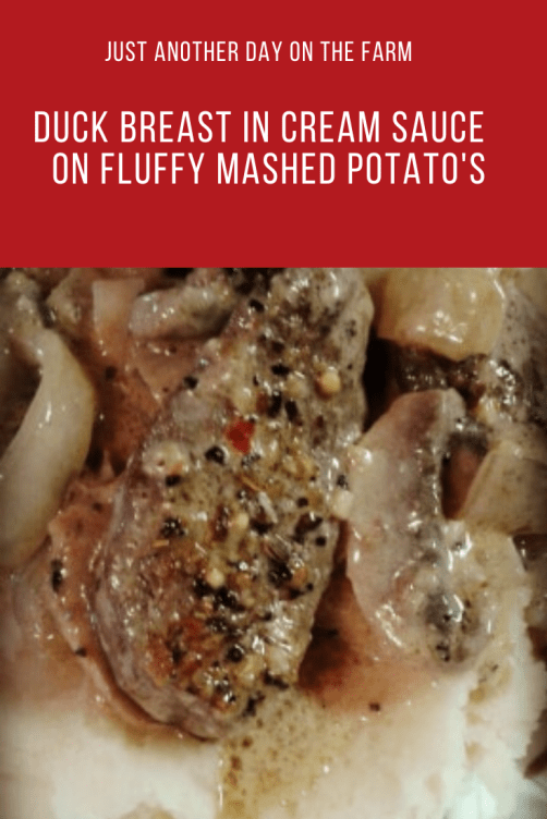 Duck Breast in Cream Sauce | Just another Day on the Farm