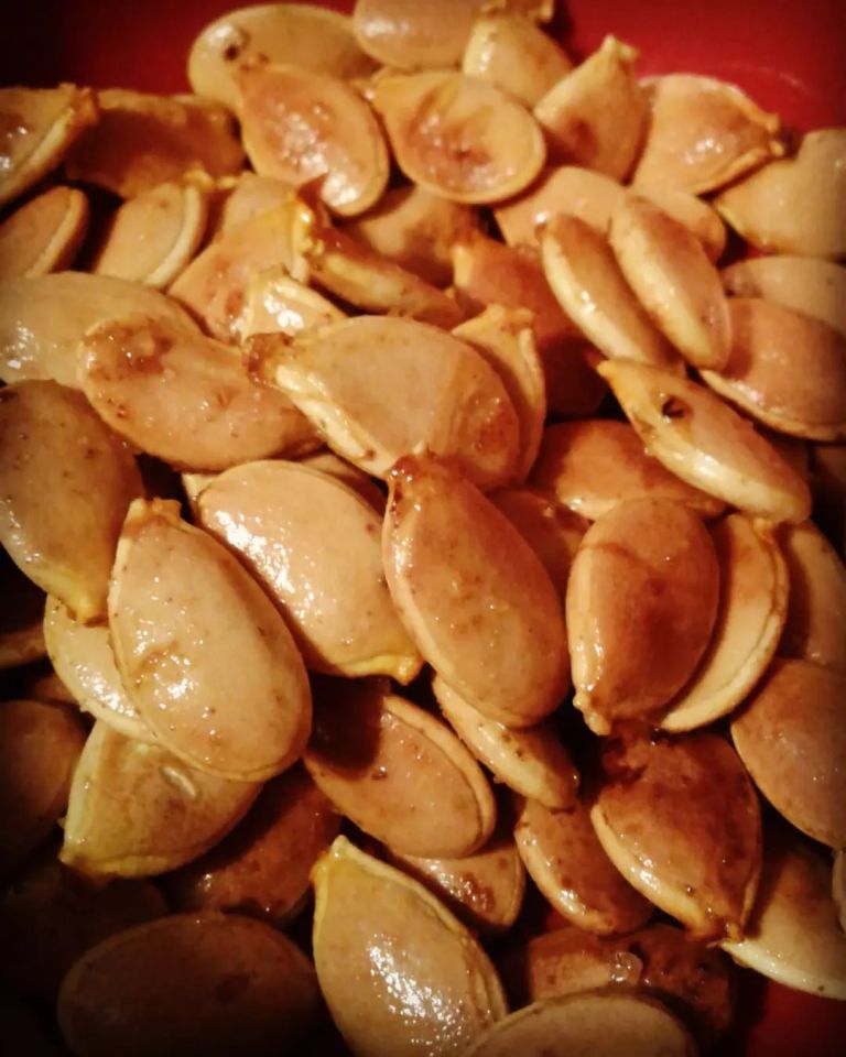 Roasted Sea Salt Grey Ghost Squash Seeds | Just another Day on the Farm